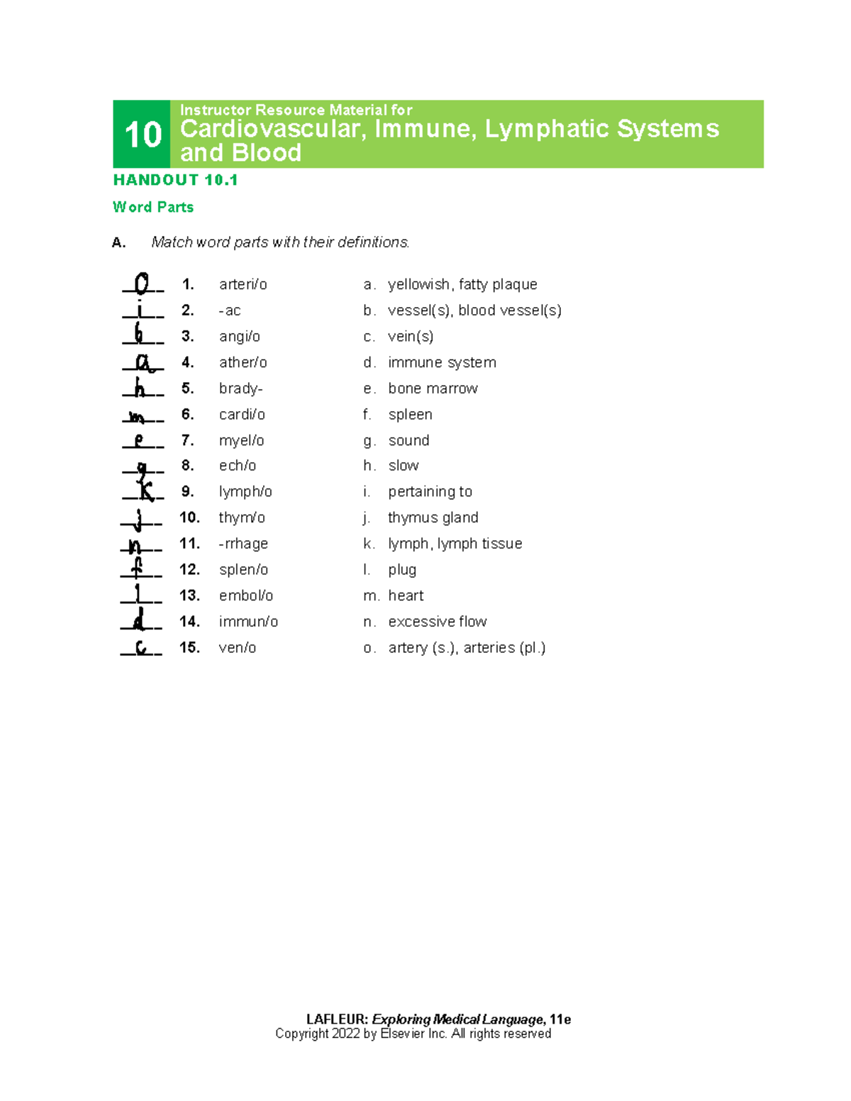 Ch10 Cardiovascular, Immune, and Lymphatic Systems Study Guide - Studocu