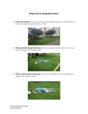 Método de búsqueda franjas o líneas - Método de búsqueda franjas o líneas La búsqueda en franjas ...