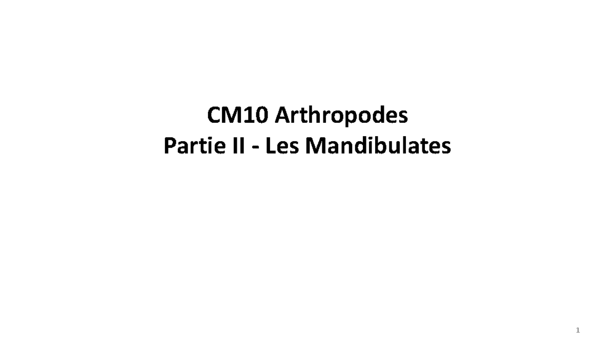 CM10 Notes de Cours sur les Euarthropodes Mandibulates - 25 Nov - Studocu