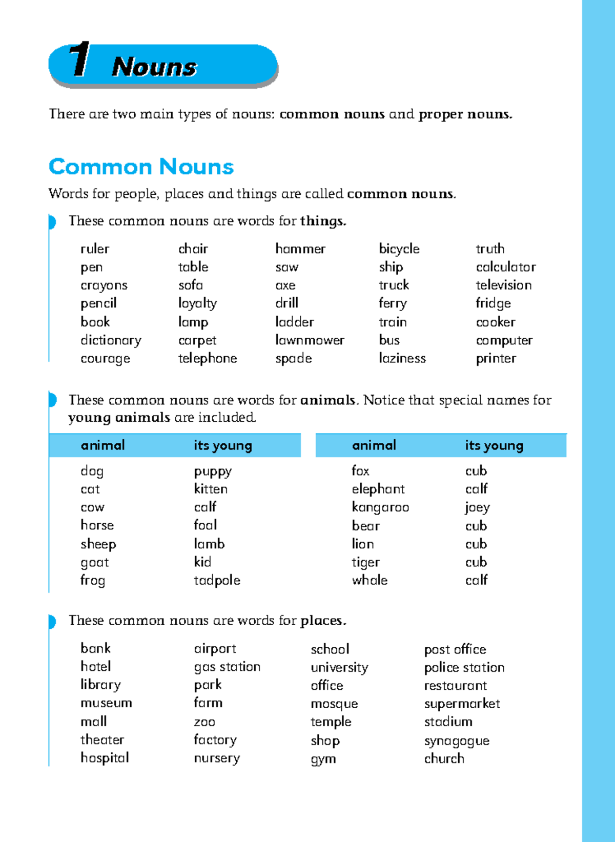 Basic English Grammar Part 1: Understanding Nouns and Their Types - Studocu
