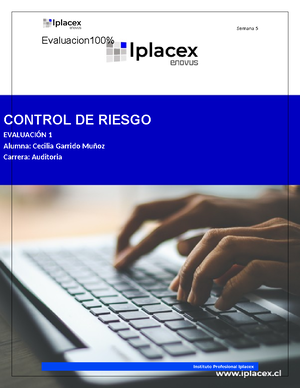 EX 7 Control de Riesgos - espero sirva - INSTRUCCIONES GENERALES Una ...