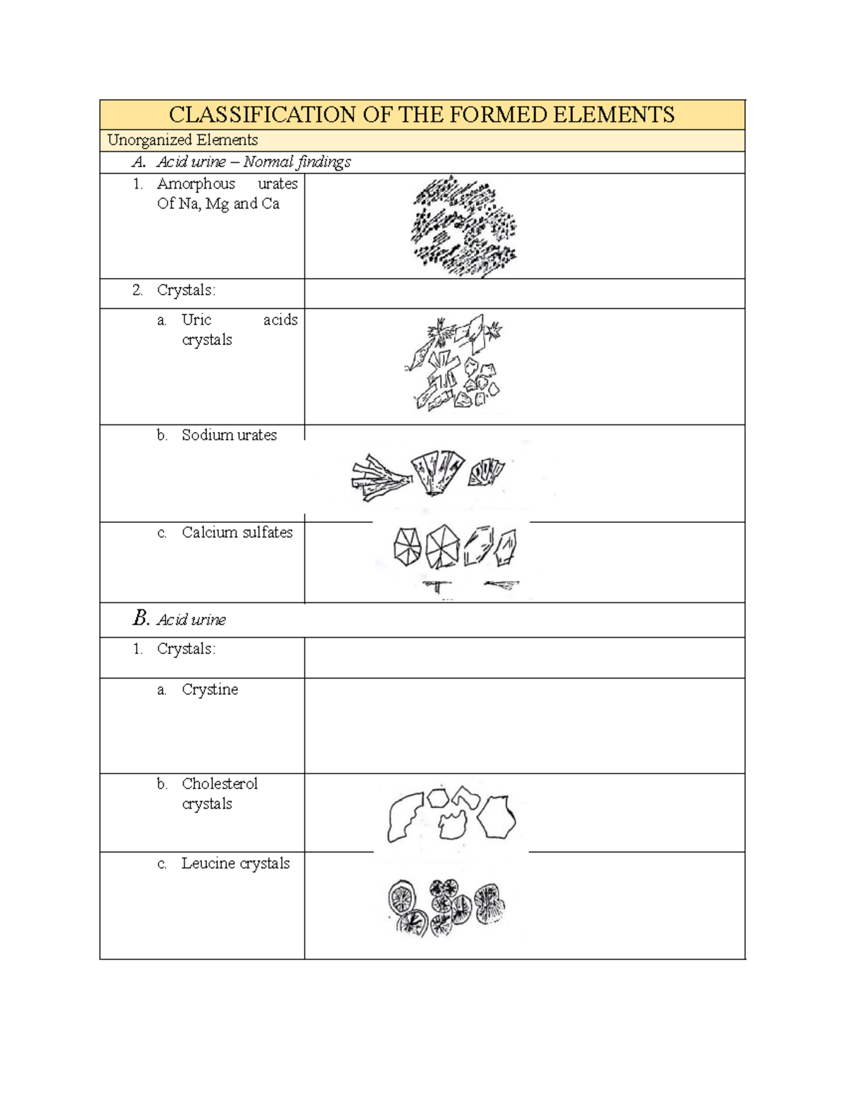 Urine crystal aubf - CLASSIFICATION OF THE FORMED ELEMENTS Unorganized ...