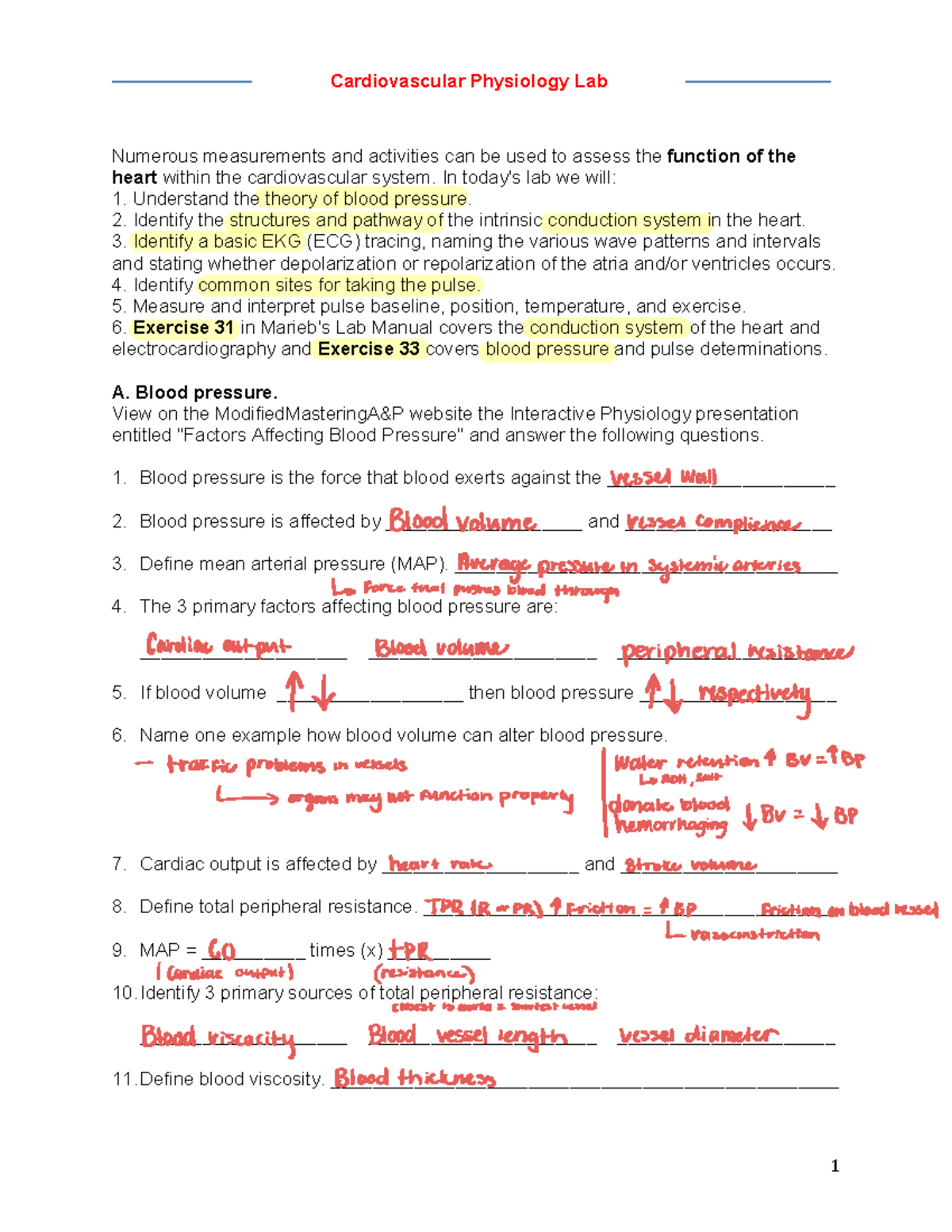 Cardiovascular Physiology Lab: Heart Function & EKG Analysis - Studocu