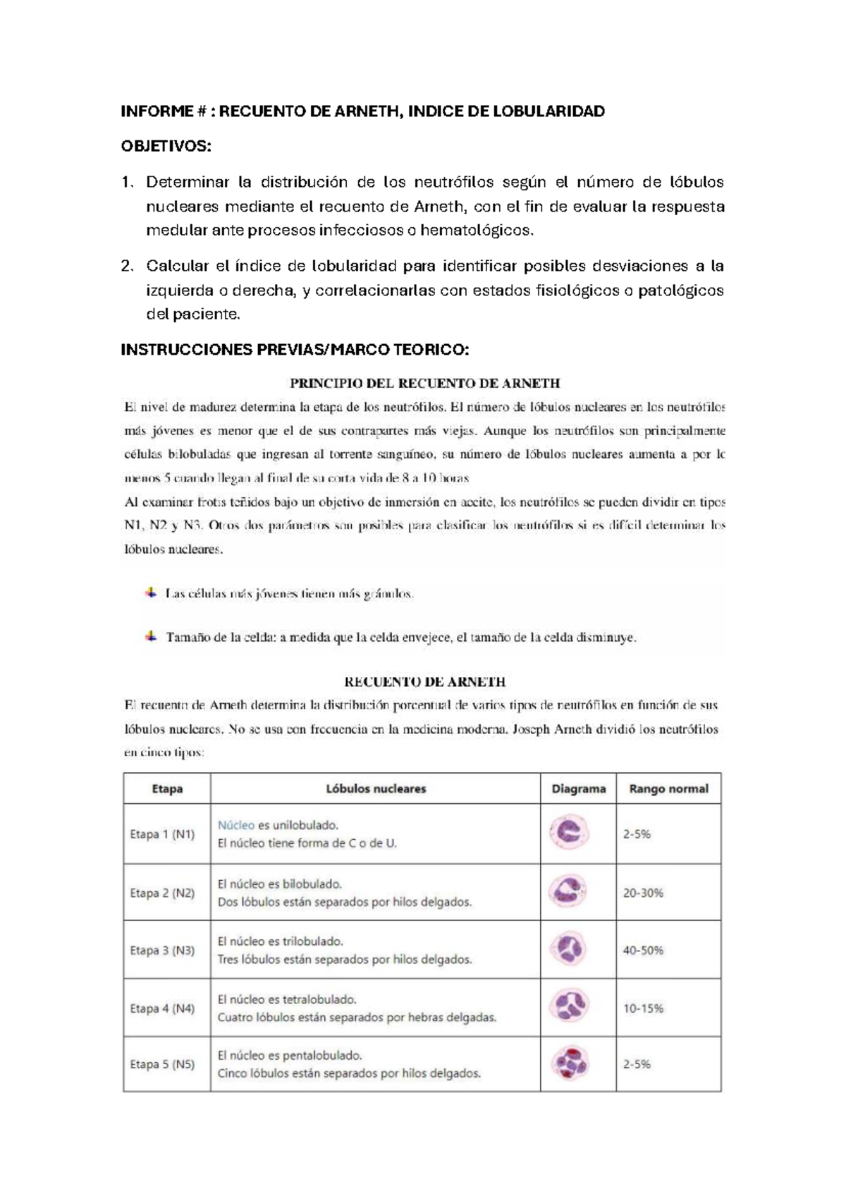 Informe: Recuento de Arneth e Índice de Lobularidad en Hematología ...