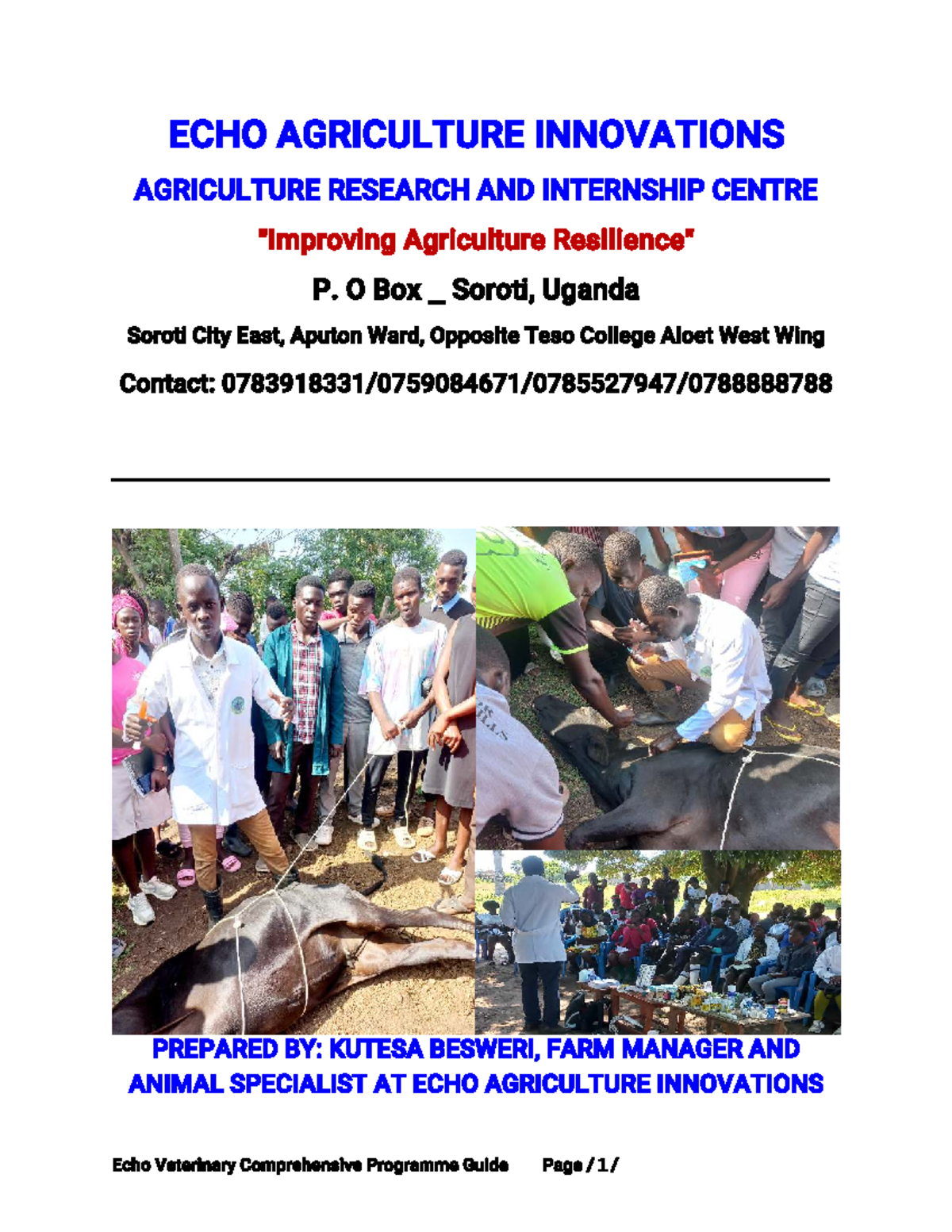 ECHO AGRICULTURE INNOVATIONS: Veterinary Clinical Medicine Internship ...
