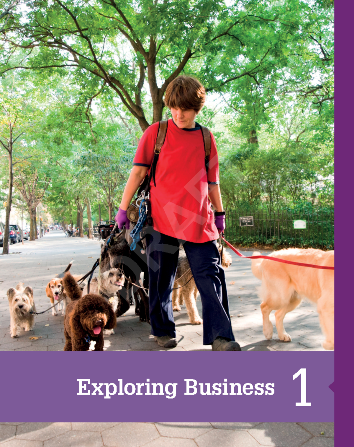 Unit 1 Handbook Business - Exploring Business 1 DRAFT UNIT 1 2 ...