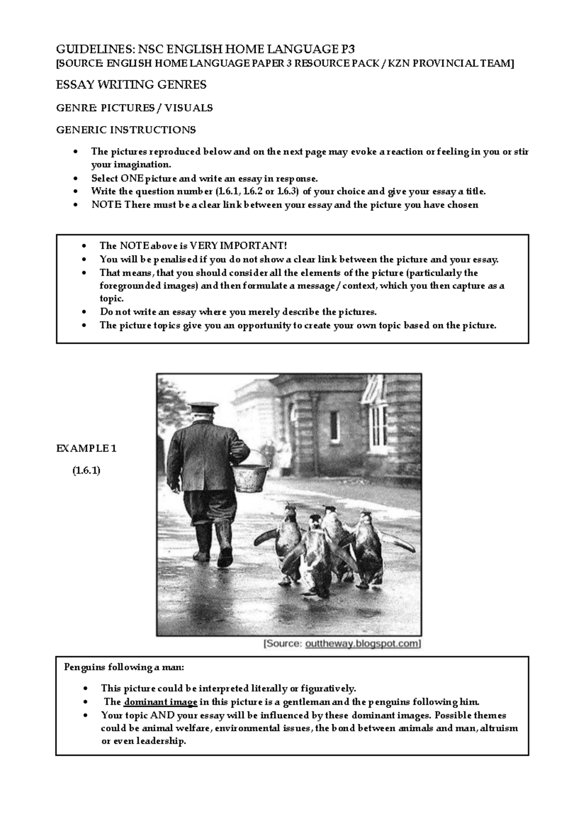 Guidelines: NSC English HL P3 Essay Writing with Visuals - Studocu
