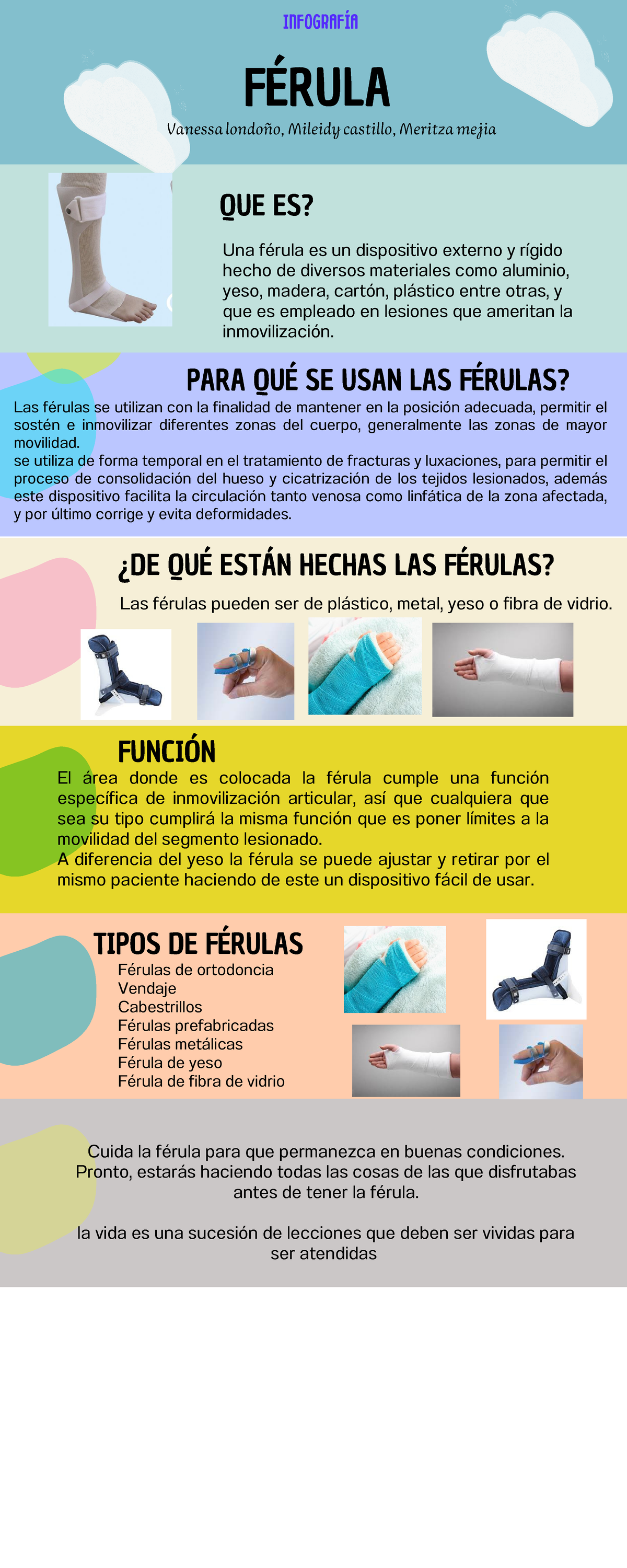 INFOGRAFÍA SOBRE FÉRULAS: USO, TIPOS Y FUNCIONES EN LESIONES - Studocu