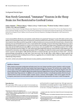 [Solved] You have been tasked with setting up a small office network ...
