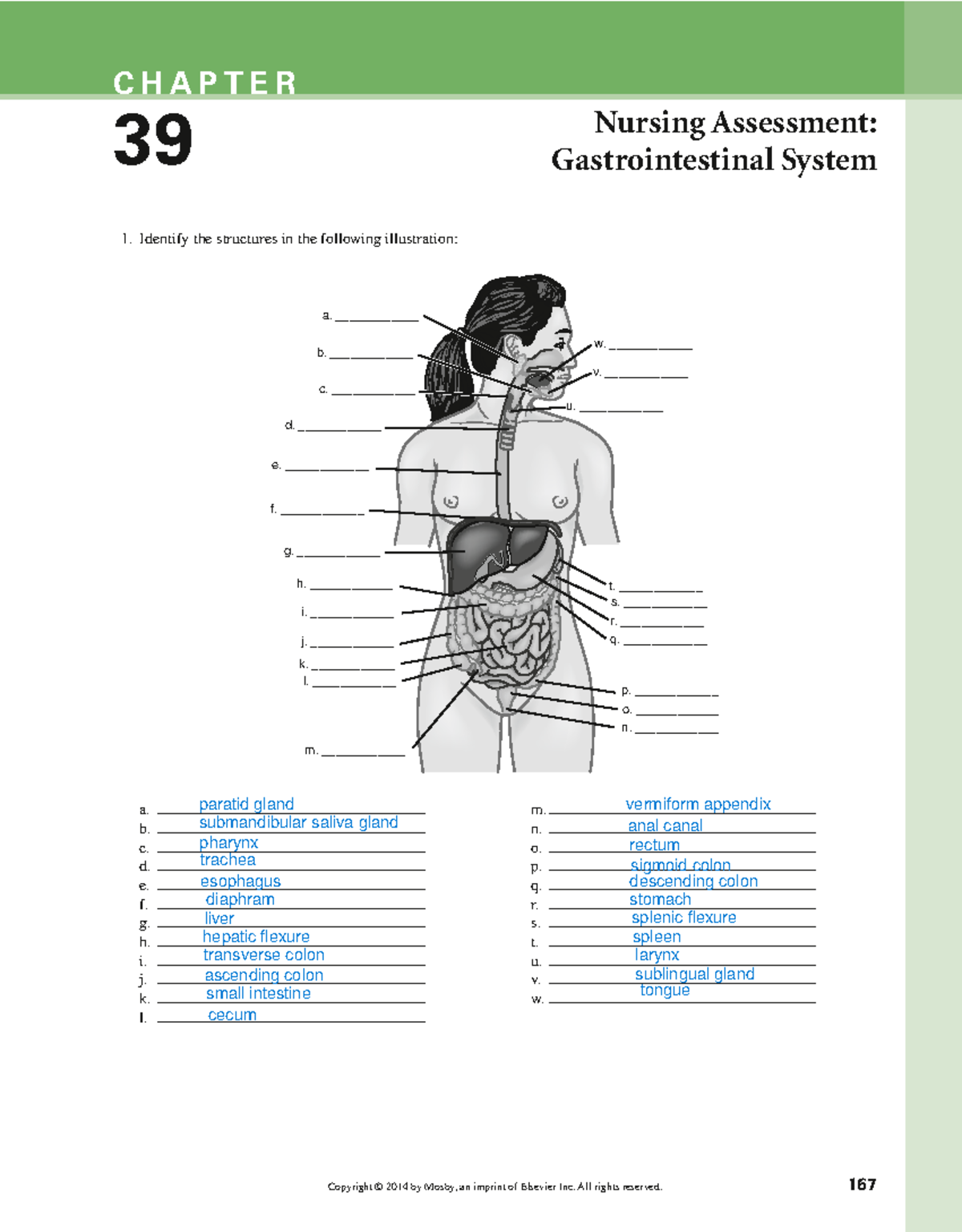 1. Assessment gastrointestinal system - C H A P T E R Nursing ...