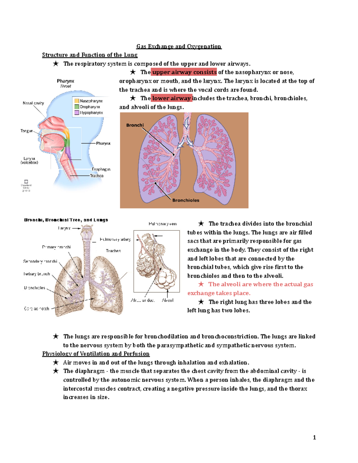 Gas Exchange and Oxygenation-2 - Gas Exchange and Oxygenation Structure ...