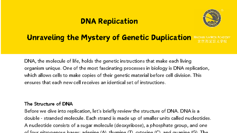 DNA Replication: Unraveling Genetic Duplication Mechanisms - Studocu