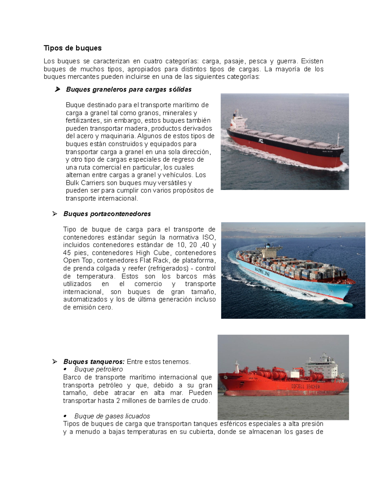 Tipos de Buques y su Funcionamiento: Carga, Pasaje, Pesca y Guerra ...