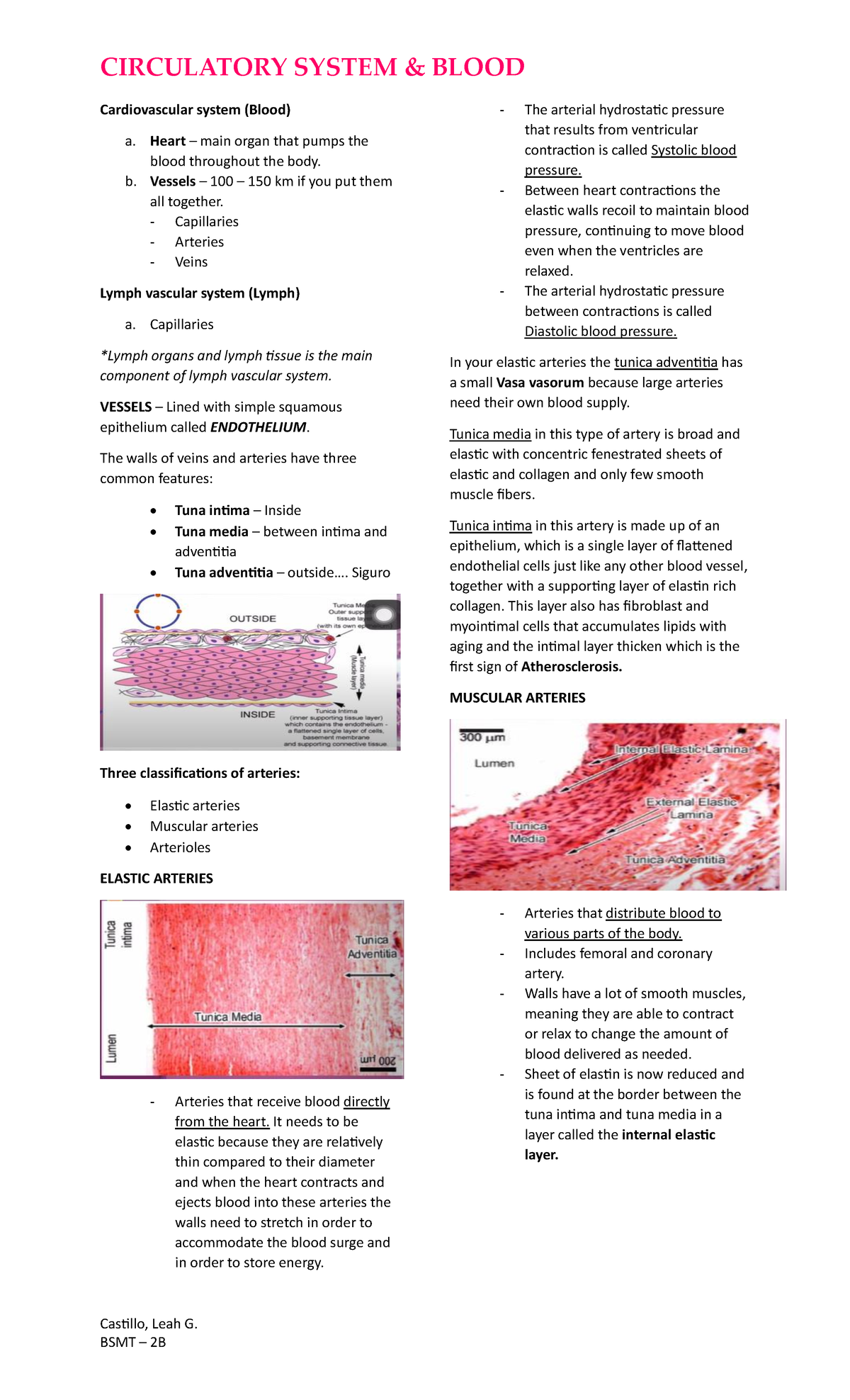 CIRCULATORY SYSTEM BLOOD: Overview of Cardiovascular and Lymphatic ...