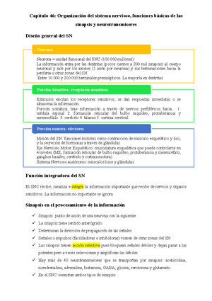 Cap 10 guyton - resumen del capitulo 10 - CAPÍTULO 10 Excitación rítmica del corazón El corazón ...