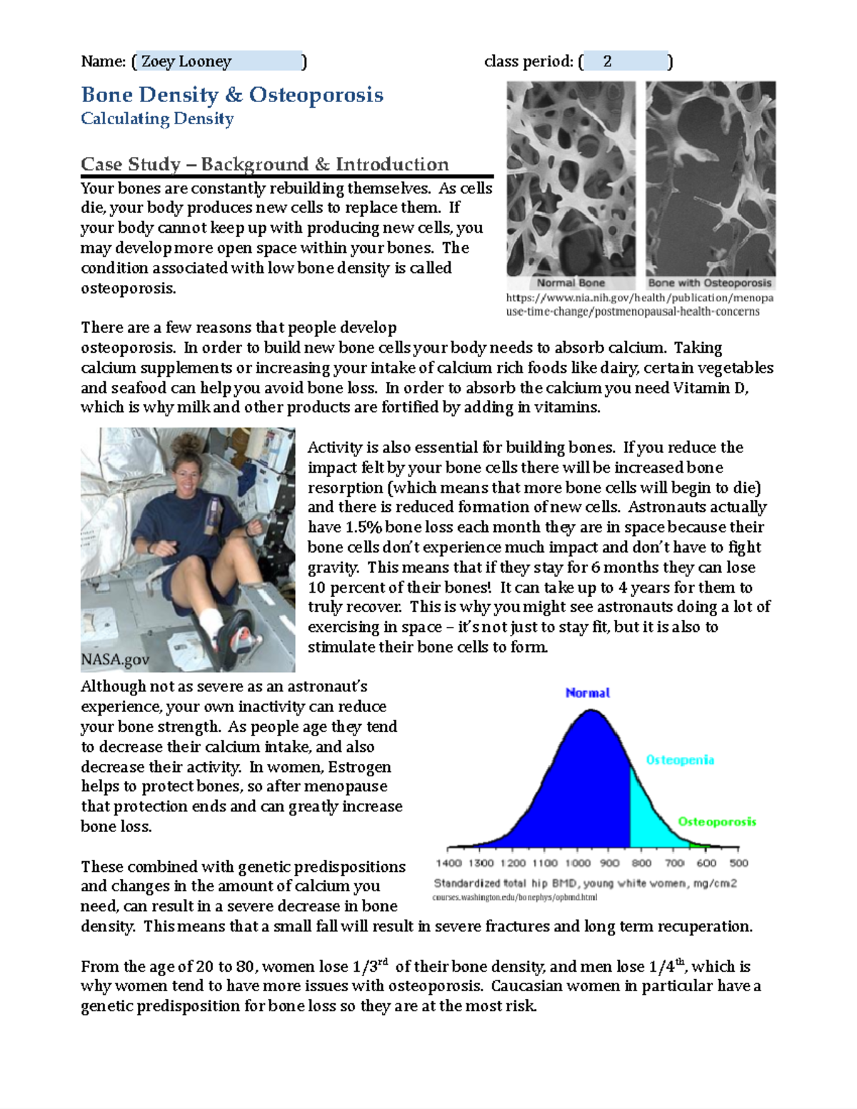 Bone Density & Osteoporosis - calculating density - Google Docs - Name ...
