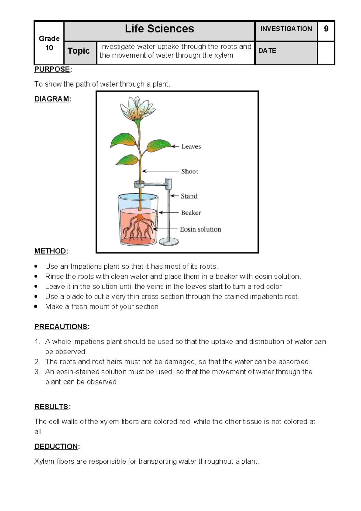 Grade 10 Life Sciences: Investigation 9 - Water Uptake & Xylem Movement ...