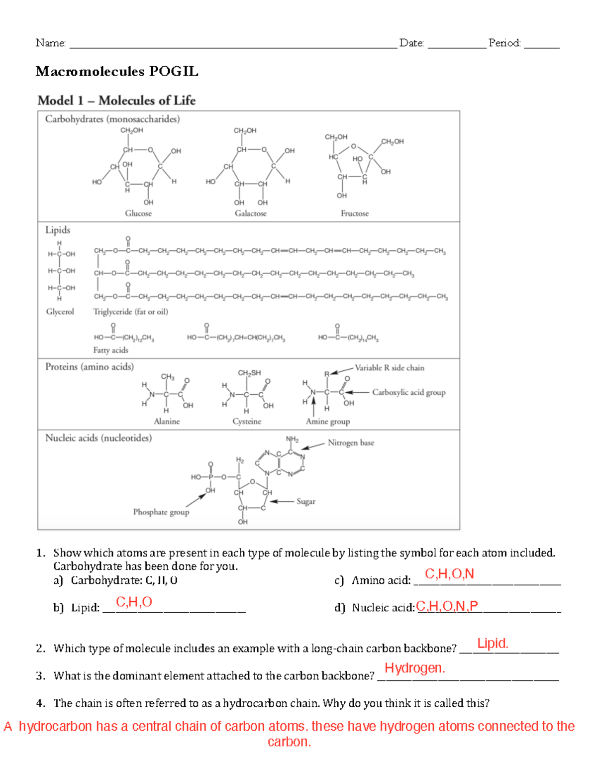 Macromolecules POGIL Activity for Biology 101 Study Guide - Studocu