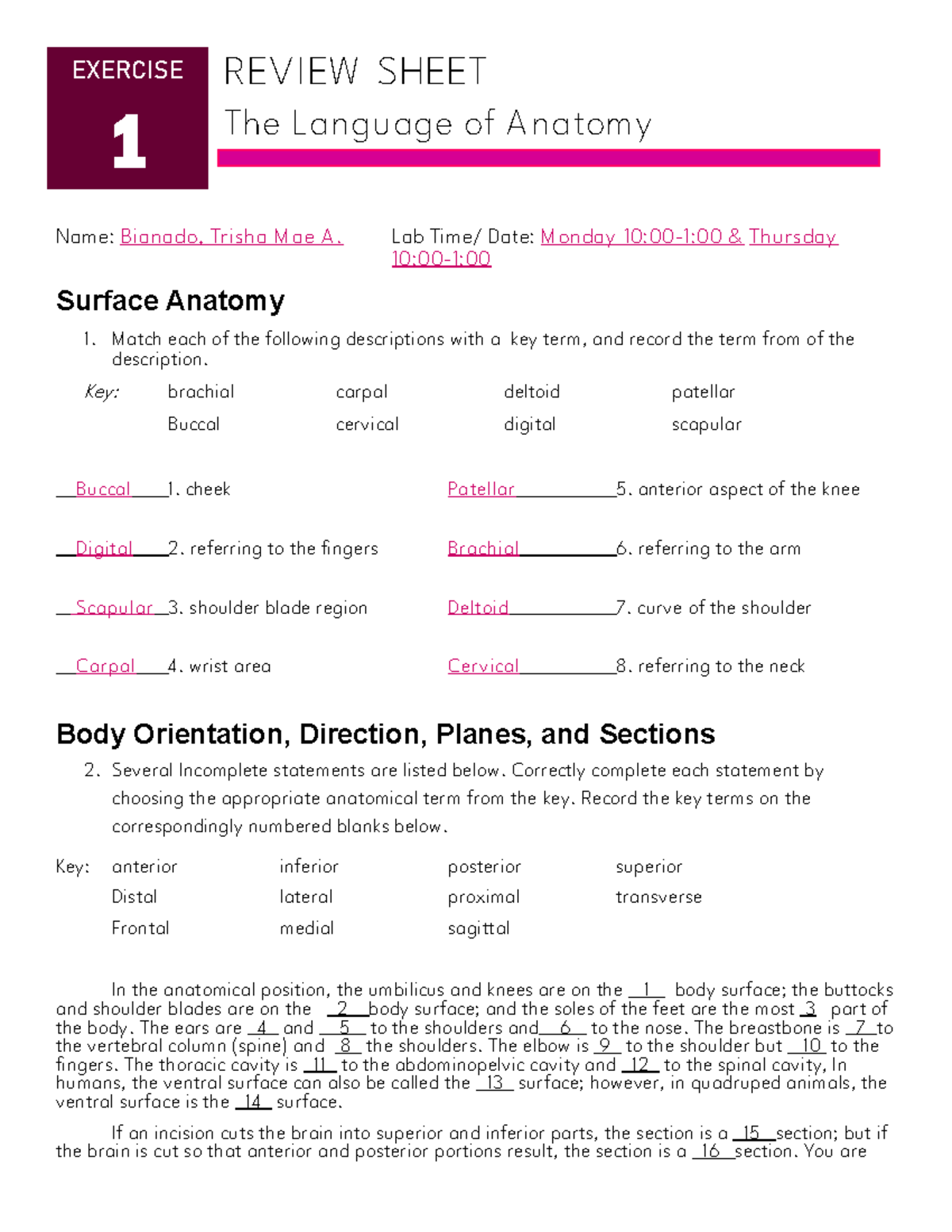 Answerr-Exercise no 1 The Language of Anatomy - REVIEW SHEET The Language of Anatomy Name ...