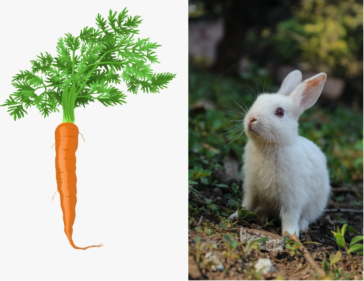 Study-Guide TEAM - TEAM LYQA’S REVIEW OUTLINE (JANUARY 2020 ...