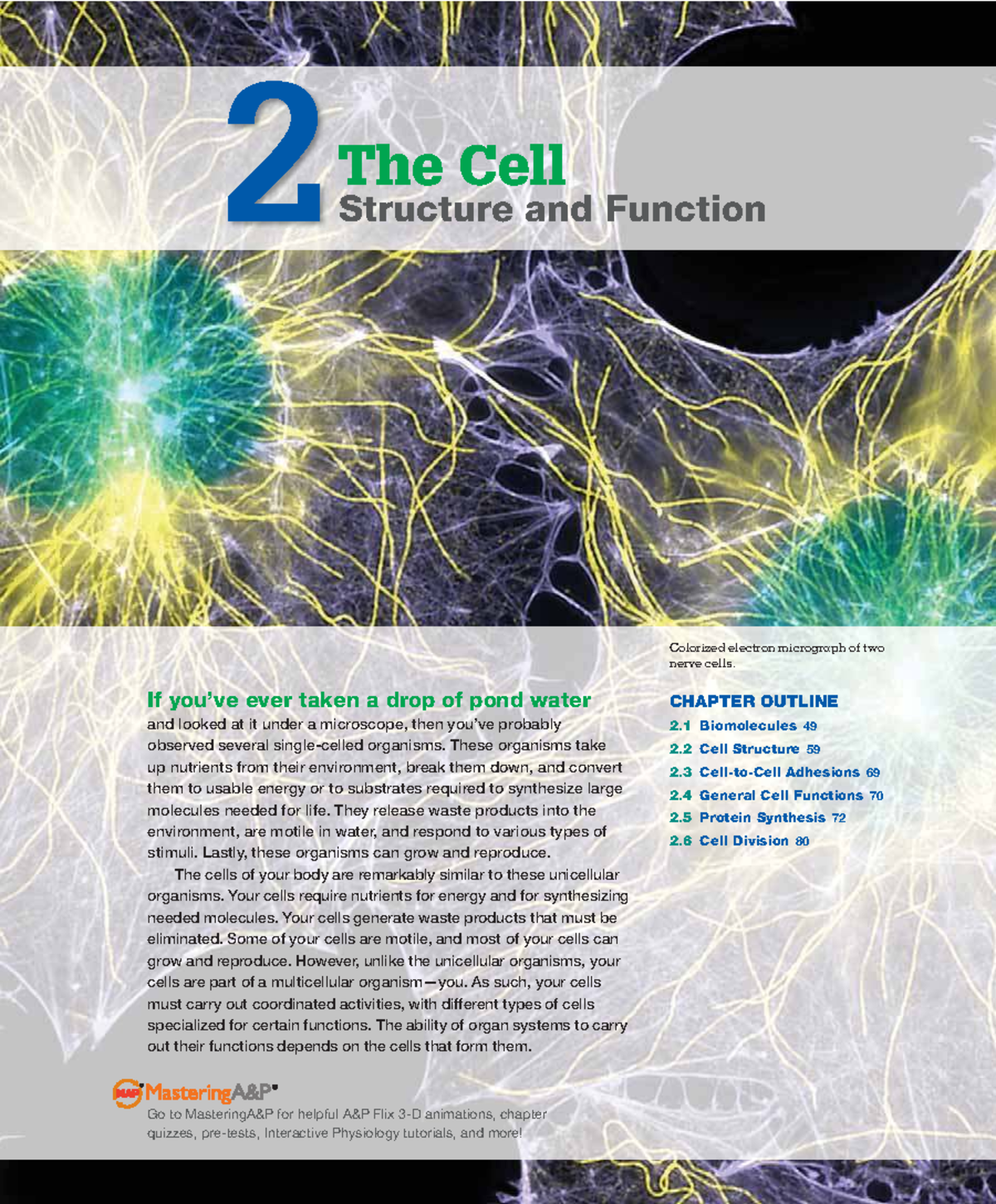 Essentials of Cell Structure and Function: A Comprehensive Overview ...