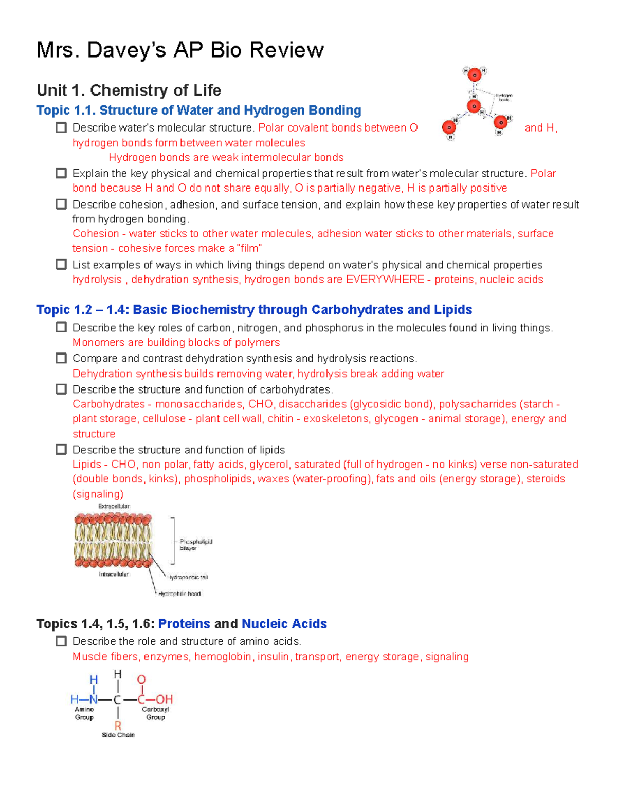 “AP Bio Review: Key Concepts in Cellular Processes and Genetics” - Mrs ...