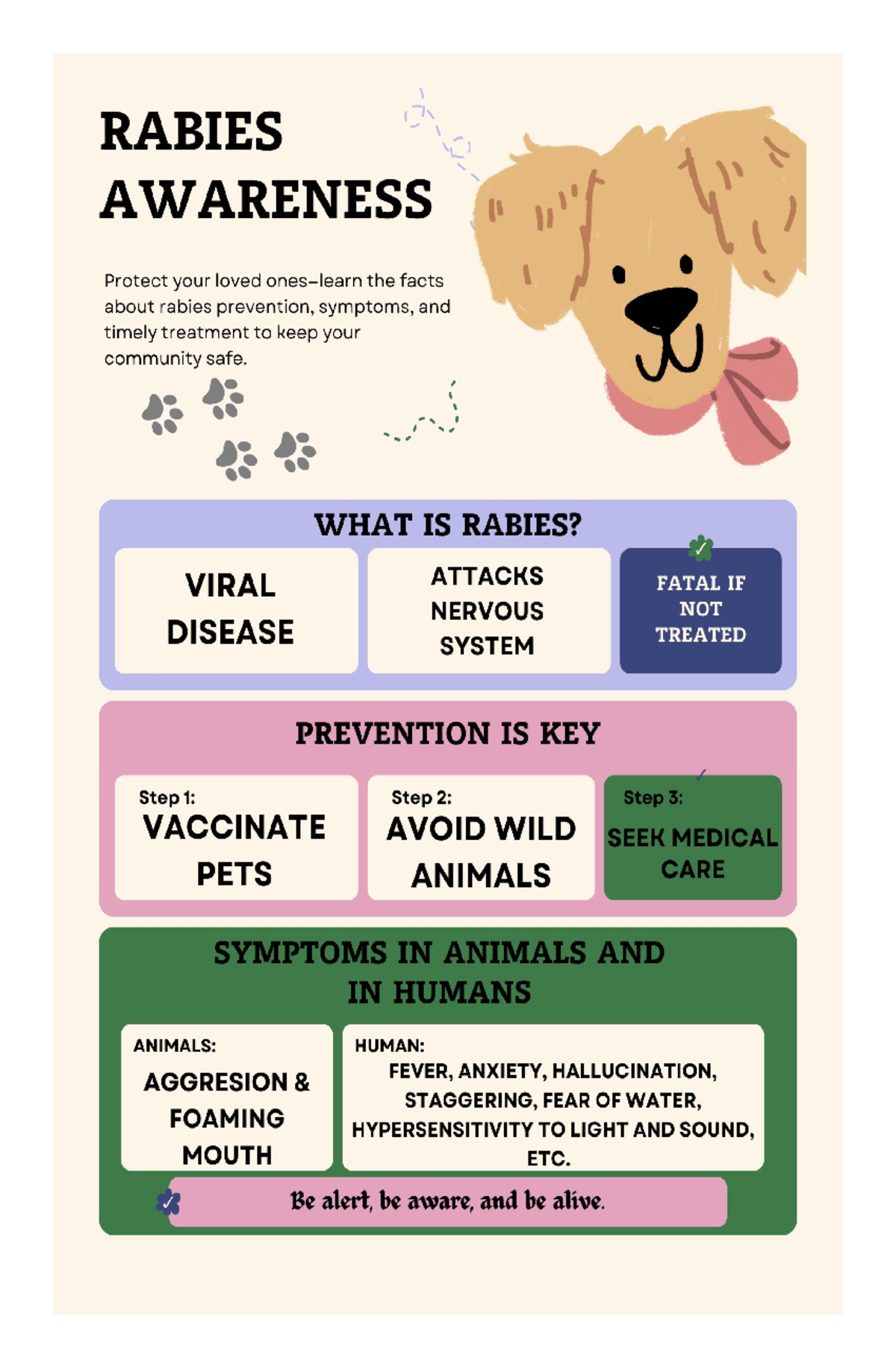 Assessment 2: Rabies Awareness - Prevention, Symptoms, and Treatment ...
