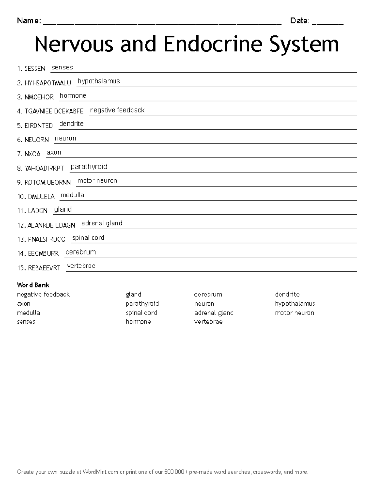 Nervous and Endocrine System 11a96f 616332 d0 - Create your own puzzle ...