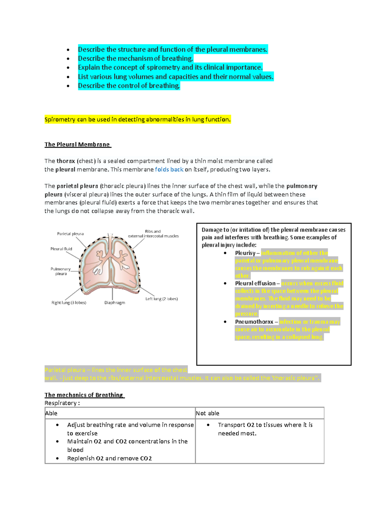 Breathing and Spirometry - • Describe the structure and function of the ...