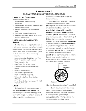 BL 255 Medical Microbiology Laboratory: Aseptic Techniques and Safety ...