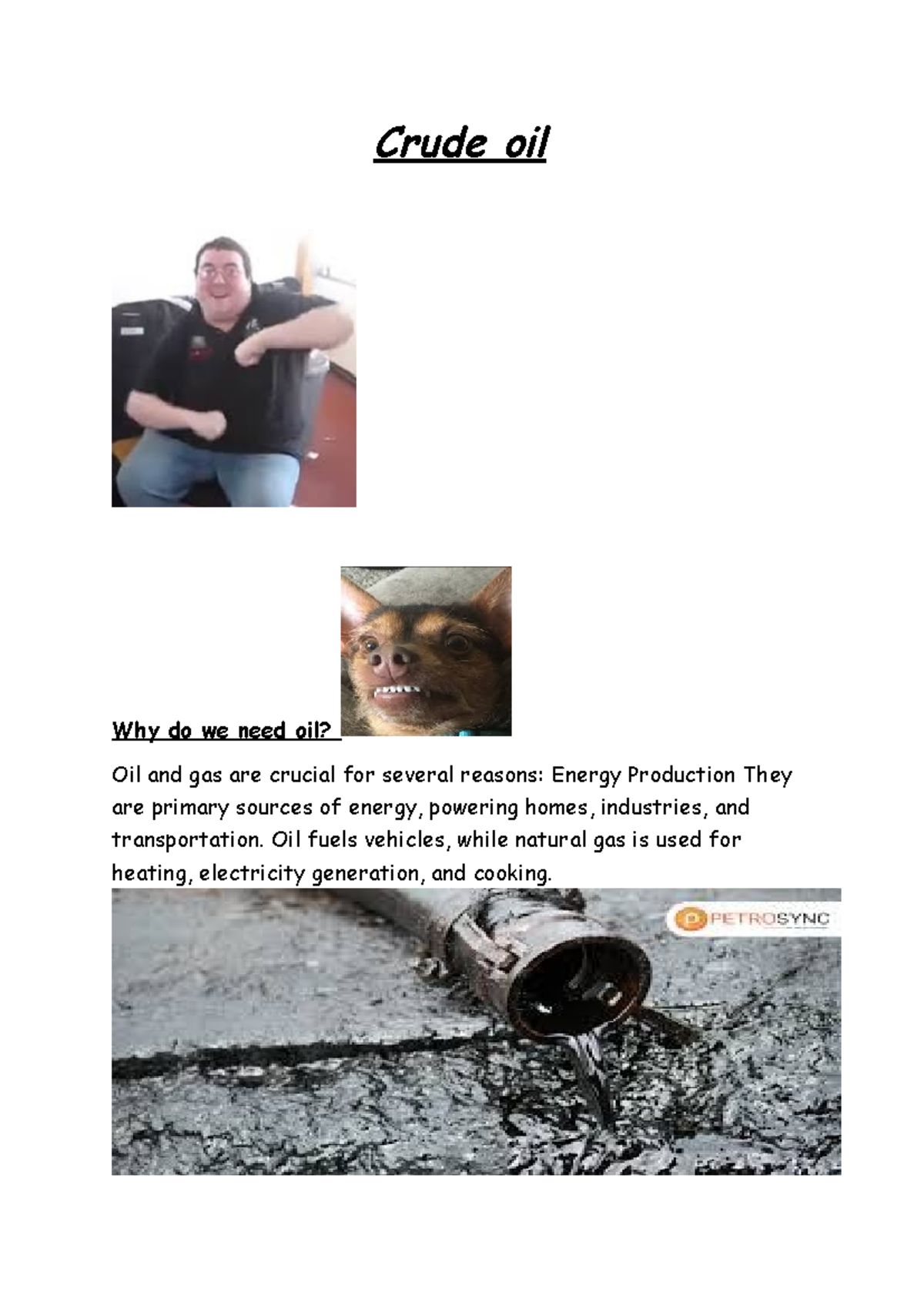 Crude Oil: Importance, Uses, and Environmental Impacts - Studocu