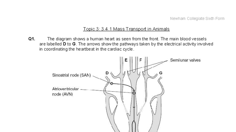 Newham Collegiate Sixth Form Topic 3: 3.4.1 Mass Transport in Animals ...