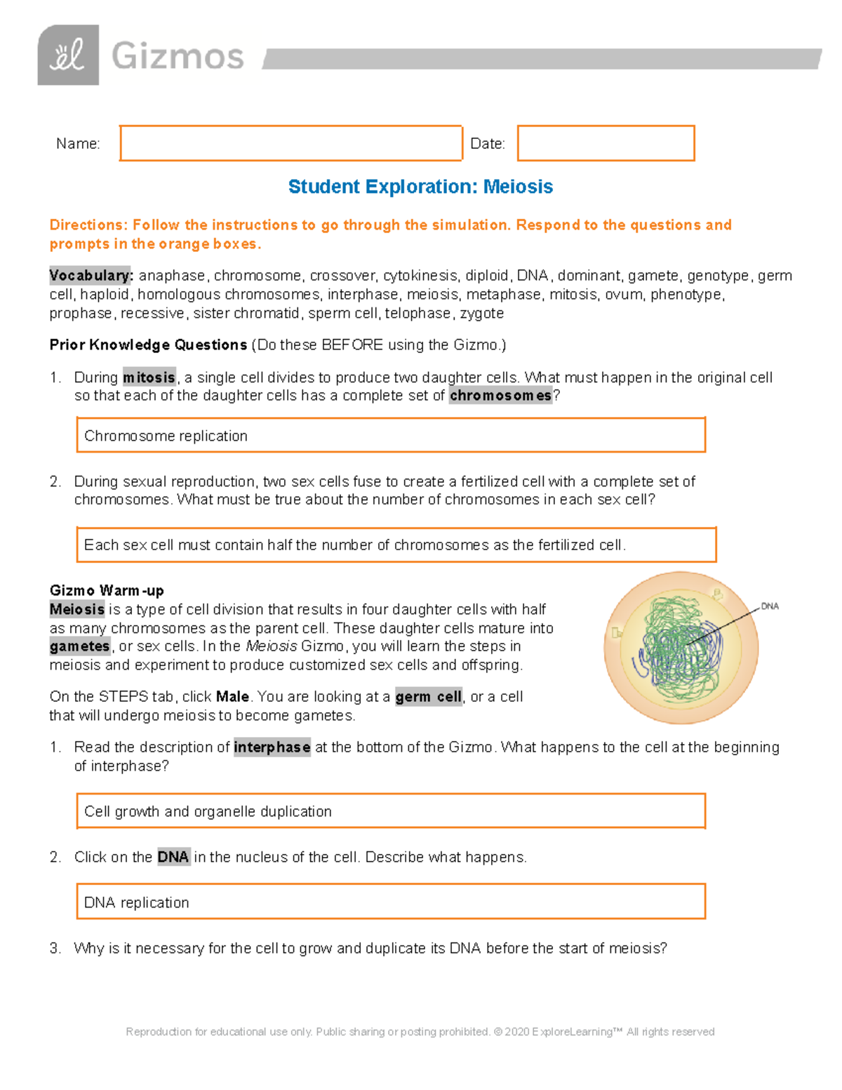 Ashley George - Meiosis Traditional Gizmo - 9102876 - Name: Date ...