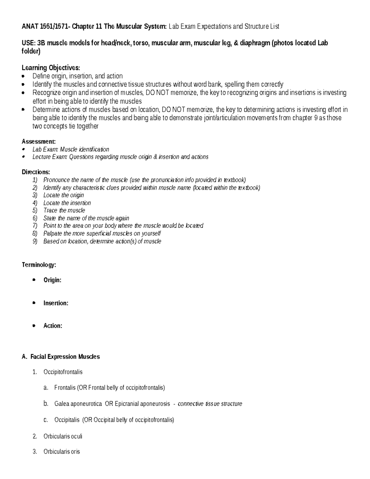 ANAT 1551/1571 - Chapter 11 Muscular System: Lab Exam Structure ...