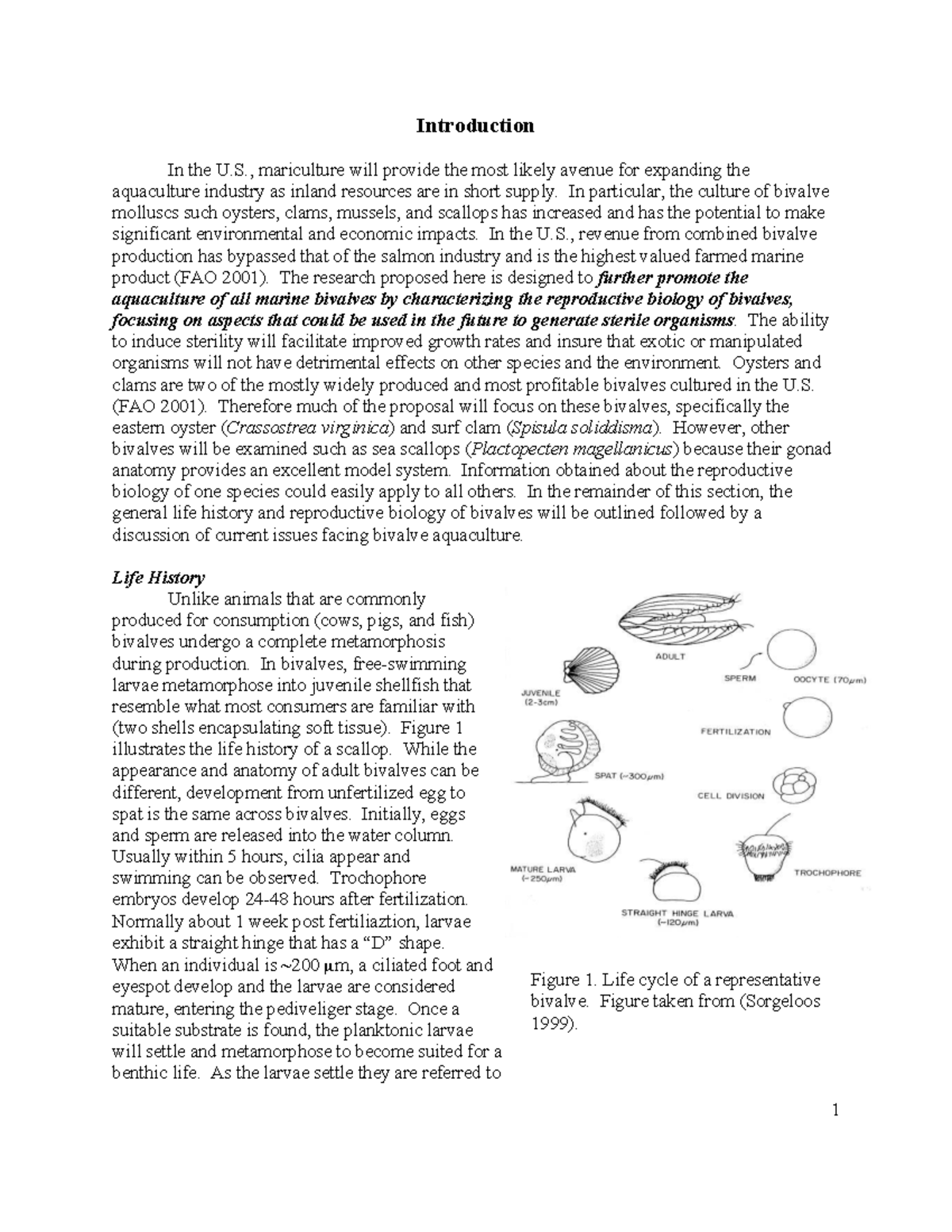 Bivalve Reproduction and Sterility Induction: A Research Proposal (USDA ...