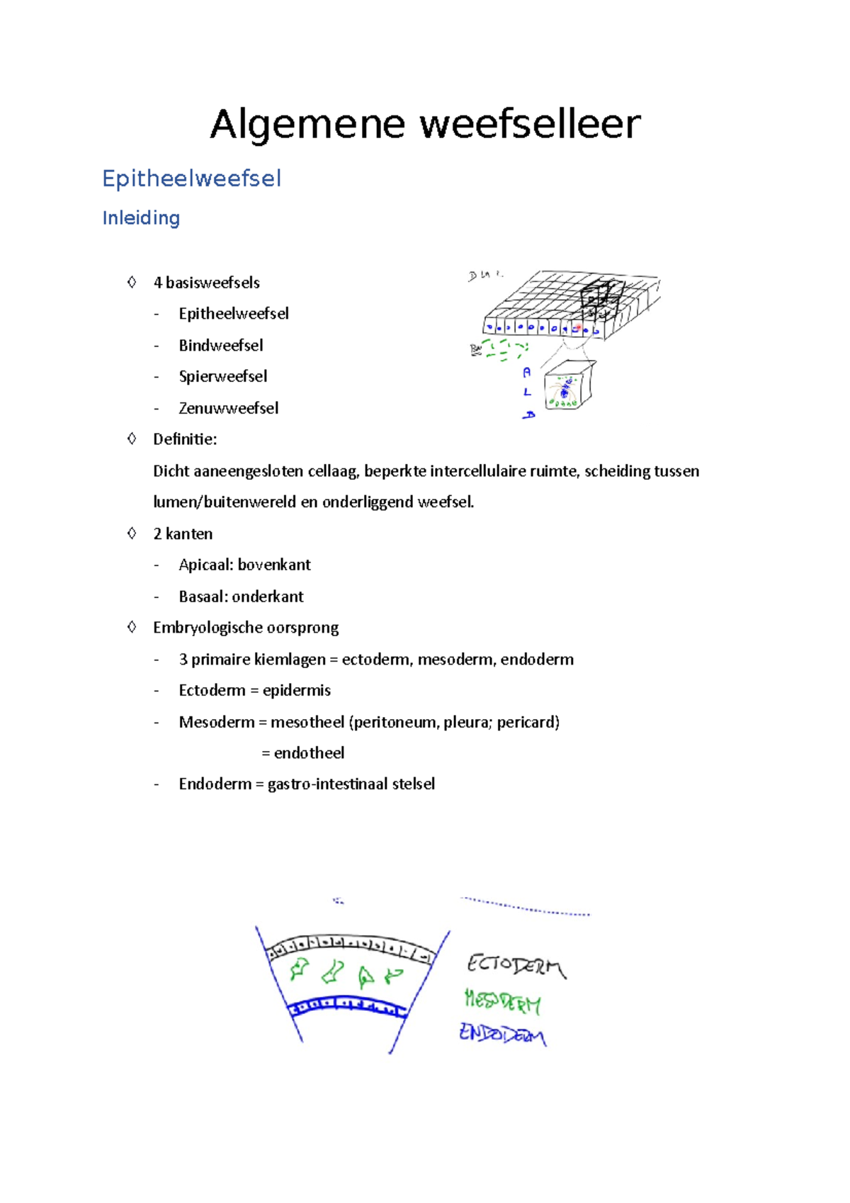 Algemene Weefselleer: Epitheelweefsel en Typen (Biologie 101) - Studocu