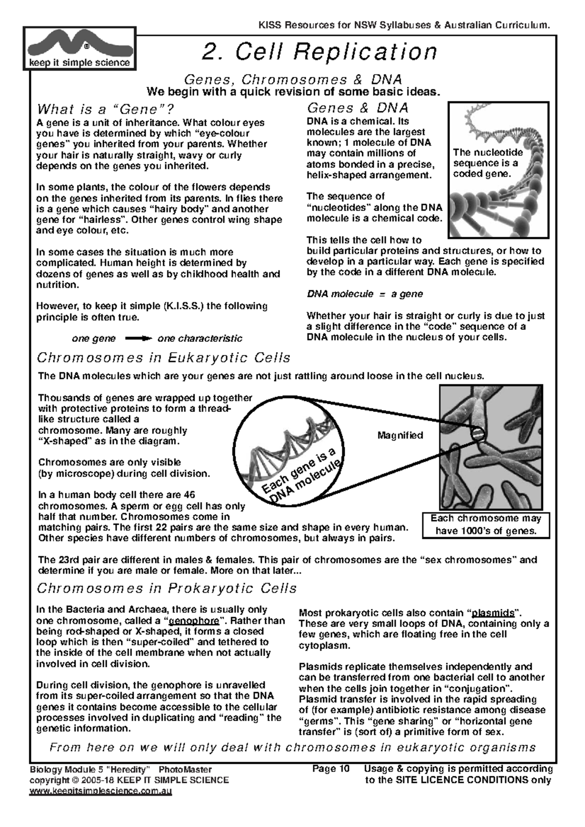 KISS CELL Replication - explanation - Biology Module 5 “Heredity” PhotoMaster copyright © 2005 ...