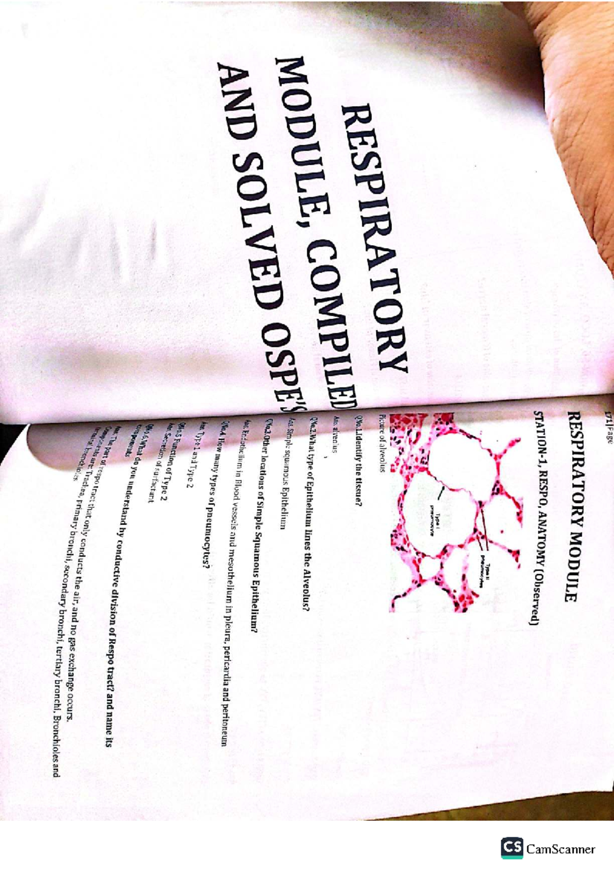 171 Page RESPO, ANATOMY & PHYSIOLOGY MODULE: Comprehensive Study Guide - Studocu