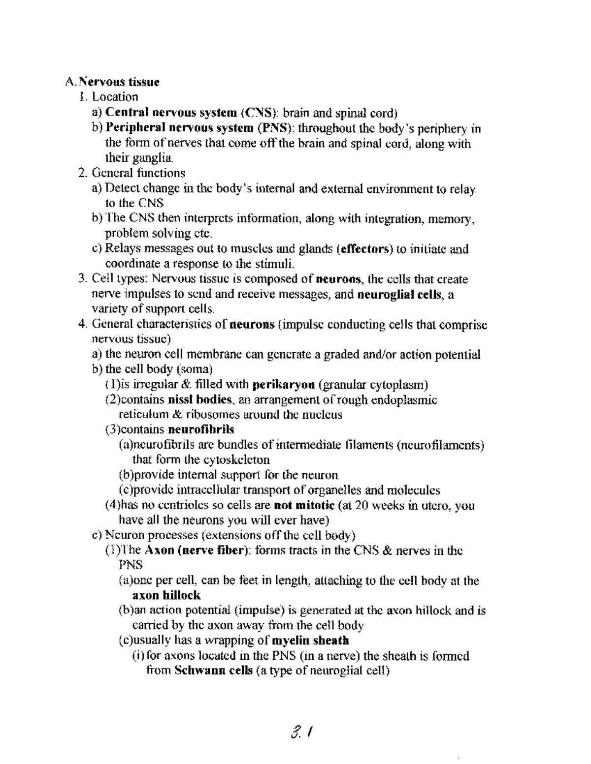 Nervous Tissue Overview: CNS, PNS, and Cell Types (BIO 101) - Studocu