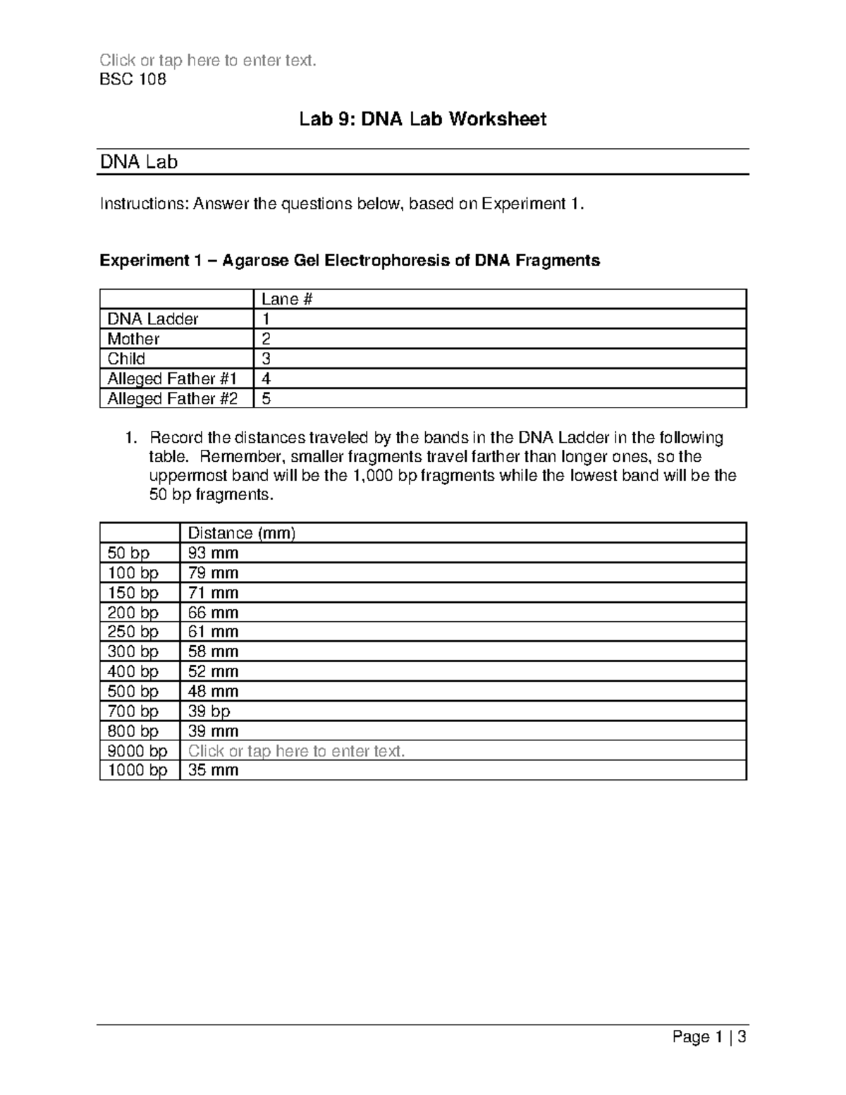 BSC 108 Lab 9: DNA Worksheet on Agarose Gel Electrophoresis - Studocu