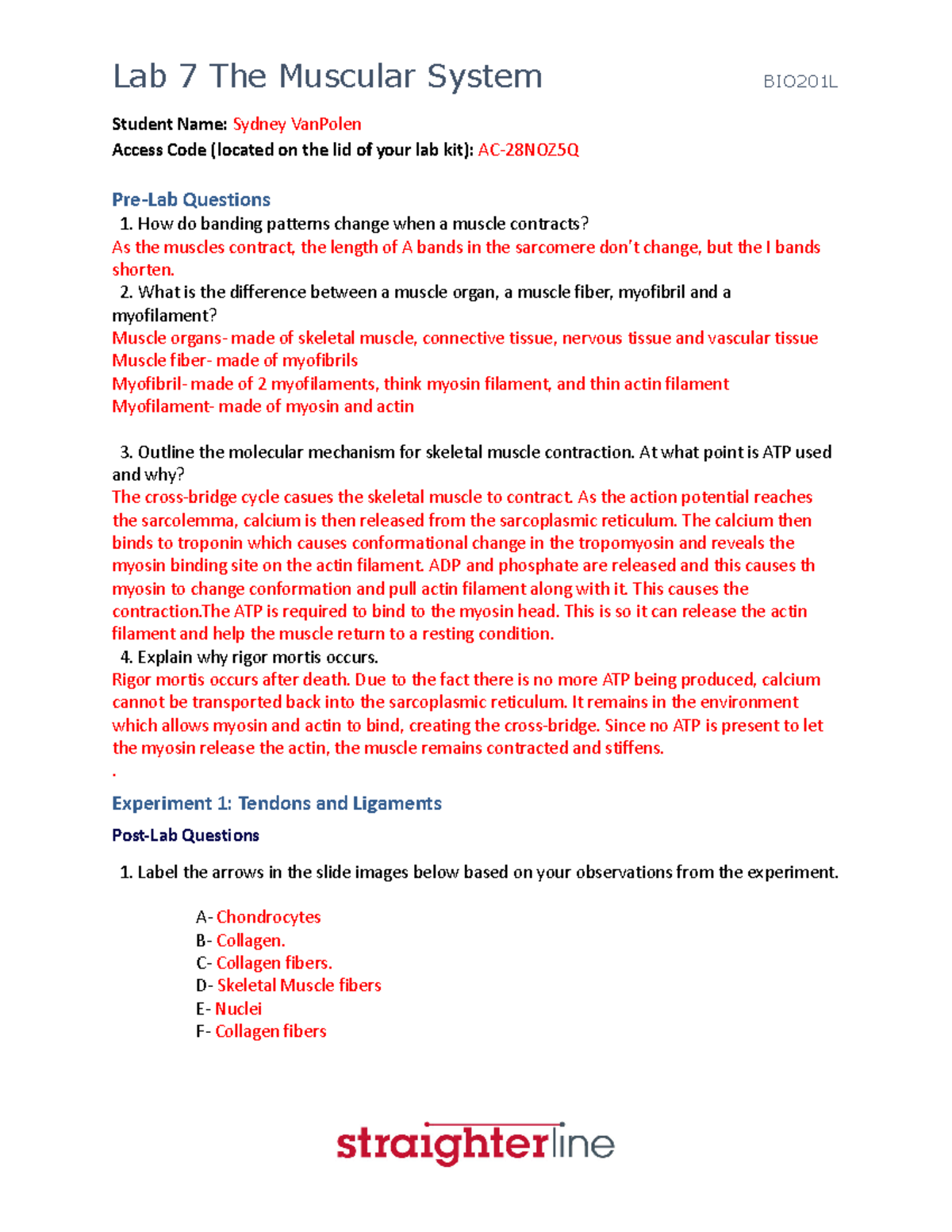 BIO201L Lab 7: Muscle Contraction and Fatigue Analysis - Studocu