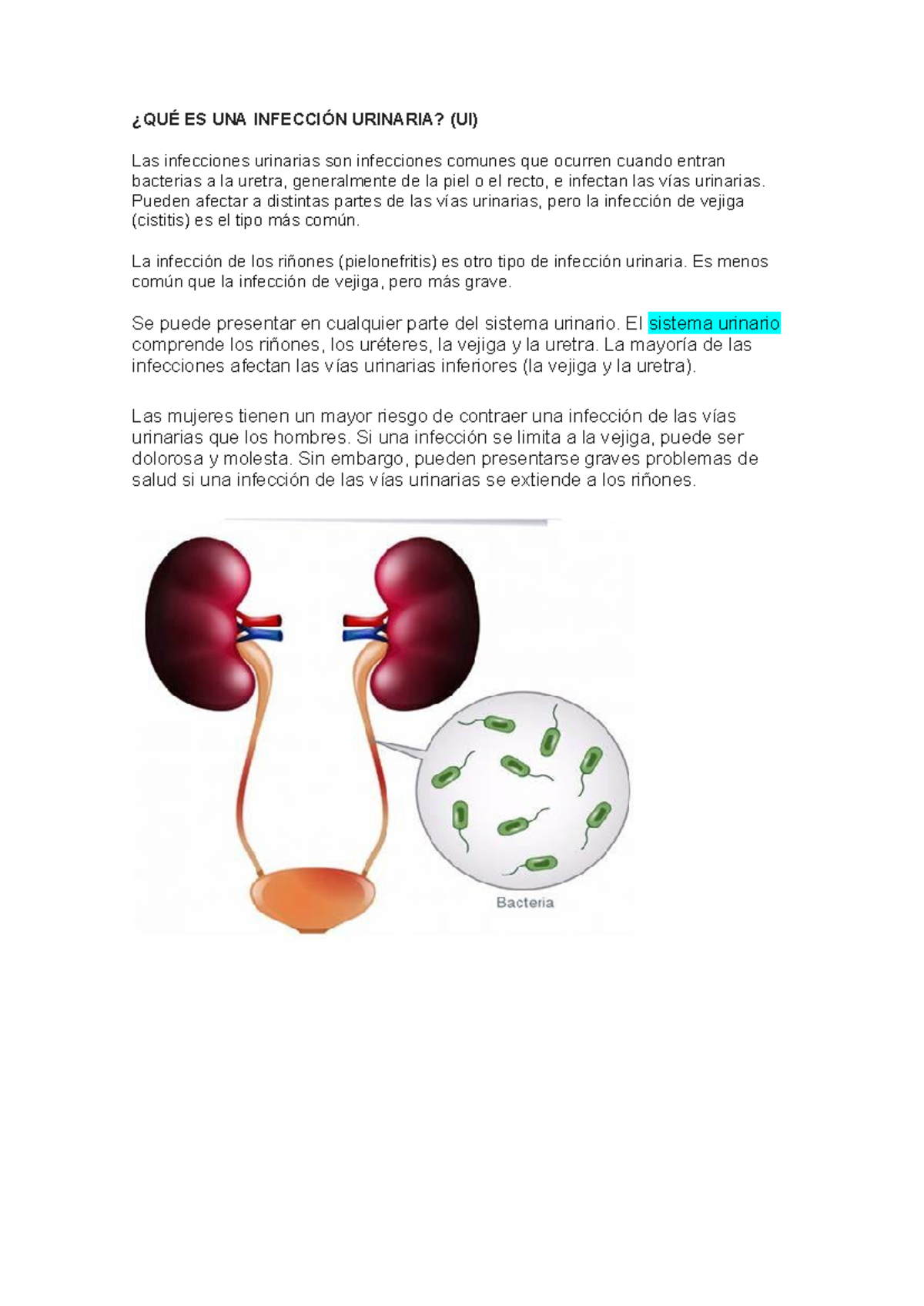 QUÉ ES UNA Infección Urinaria - ¿QUÉ ES UNA INFECCIÓN URINARIA? (UI ...
