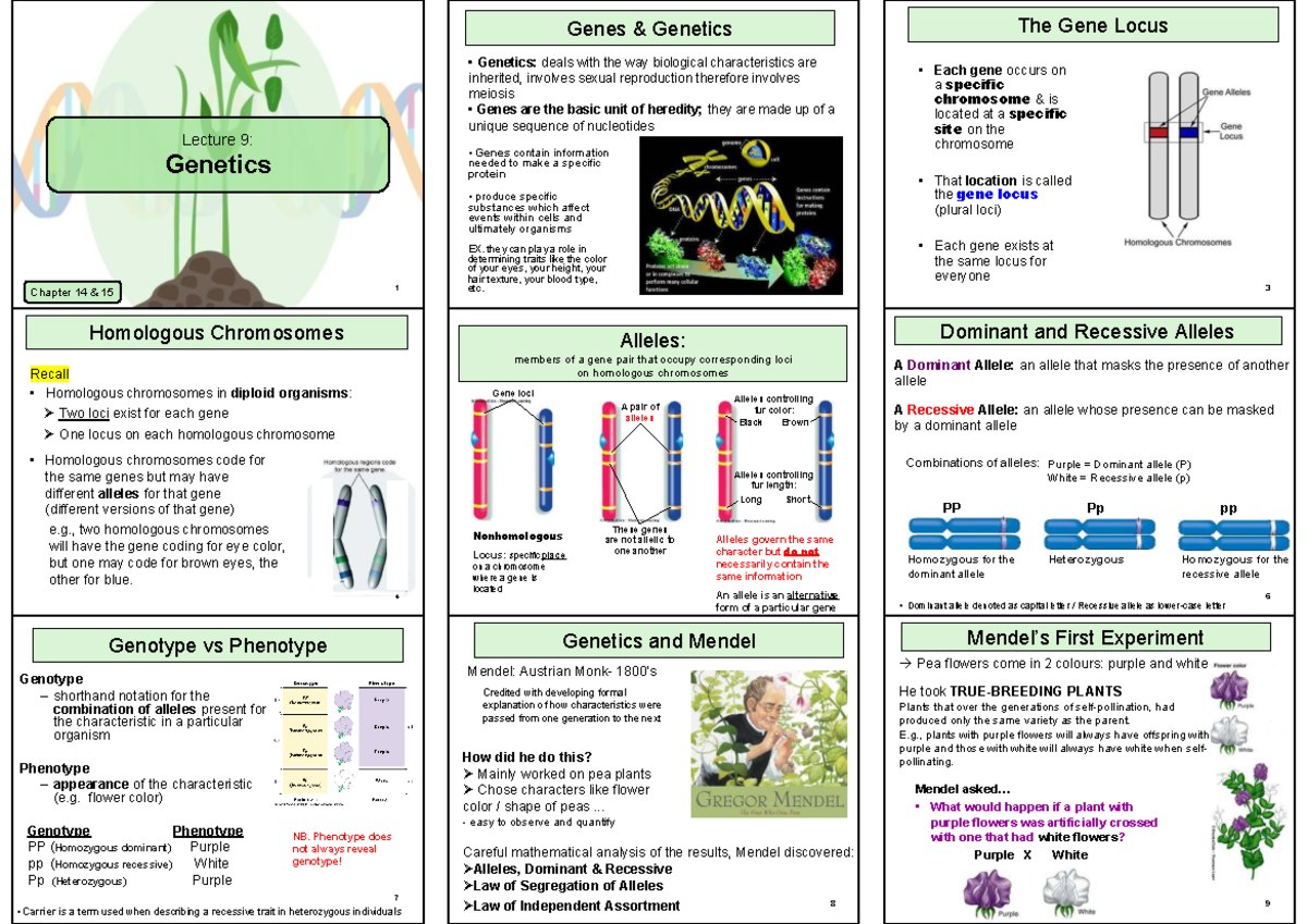 SN1 Lecture 9: Genetics and Gene Locus Overview - Studocu