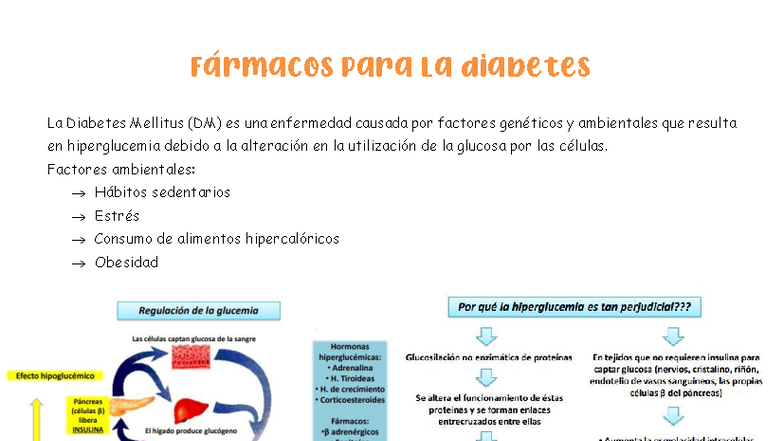 Fármacos para la Diabetes Mellitus: Resumen Final de DM1 y DM2 - Studocu