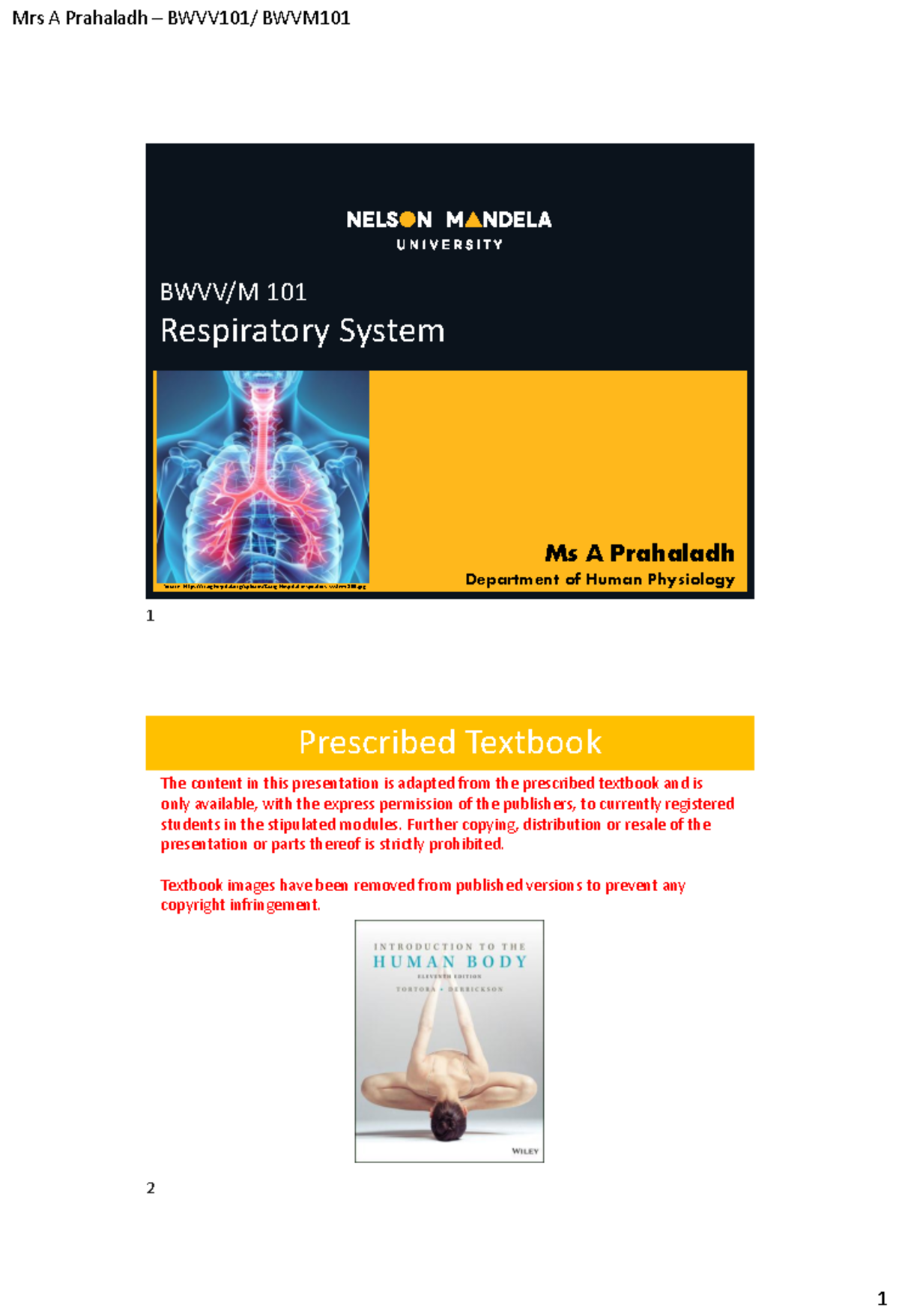 BWVV101 Lecture: Respiratory System Overview - Studocu