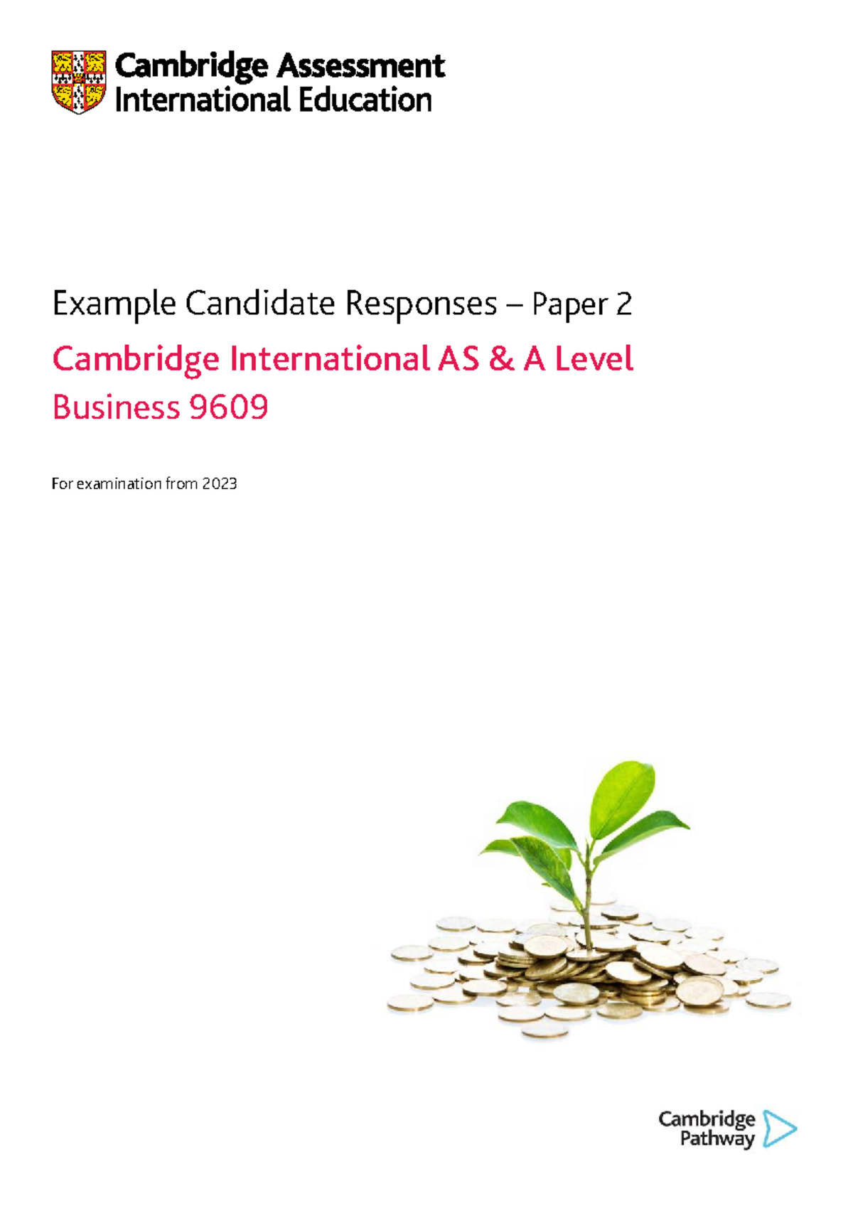 9609 Business Candidate Responses Paper 2: Exemplifying Performance ...