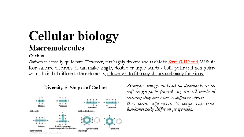 Cell Biology Notes: Macromolecules and Cellular Functions (CB101) - Studocu