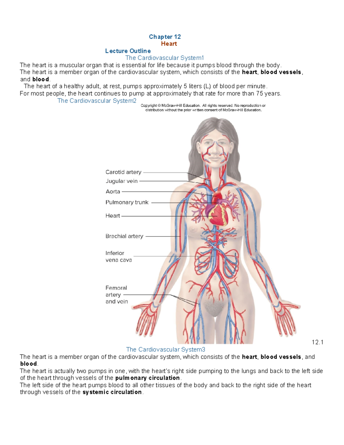 Heart - Human Anatomy and Physiology - Chapter 12 Heart Lecture Outline ...