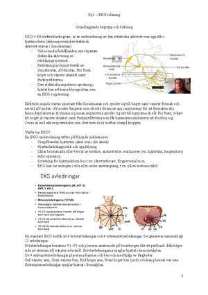 SBAR mall - SBAR - SBAR – akut situation S R A B Rekommendation Åtgärd ...