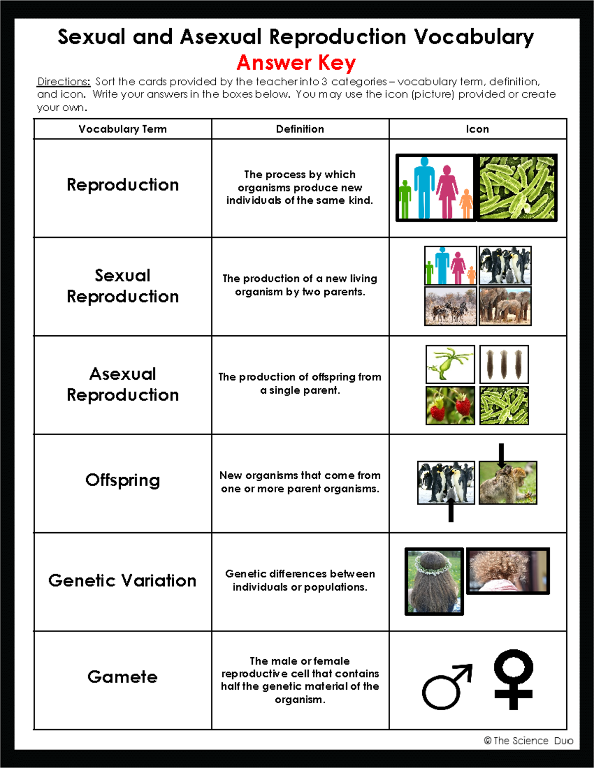 Asexual Reproduction Worksheet High School